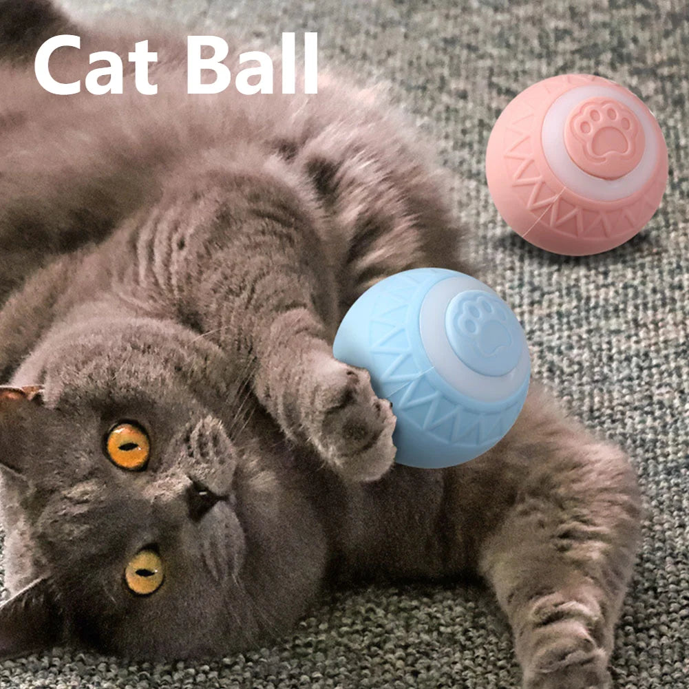 Automatic Interactive Rolling Ball - Electric – Tiny Tails